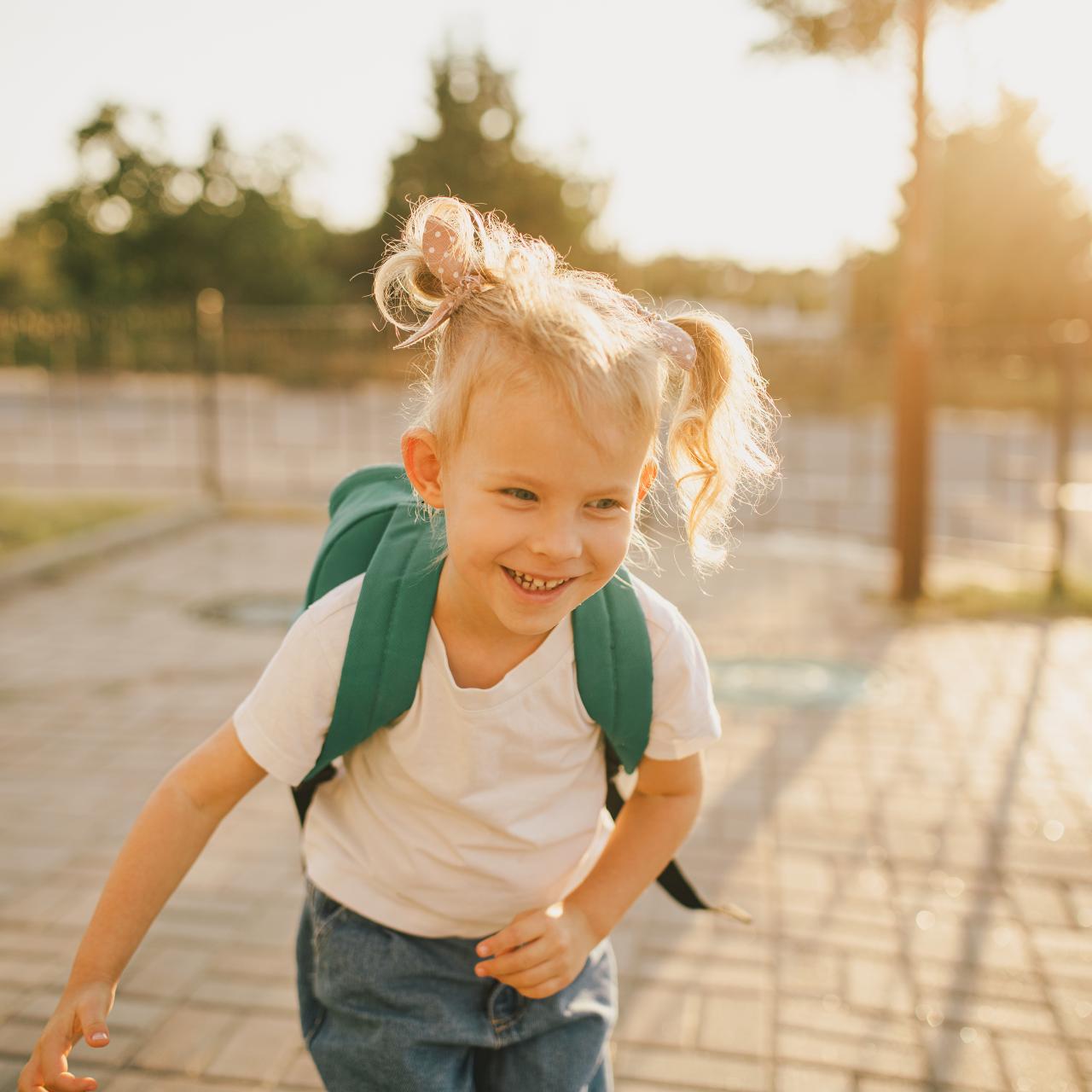 Policy Landscapes | National Institute for Early Education Research